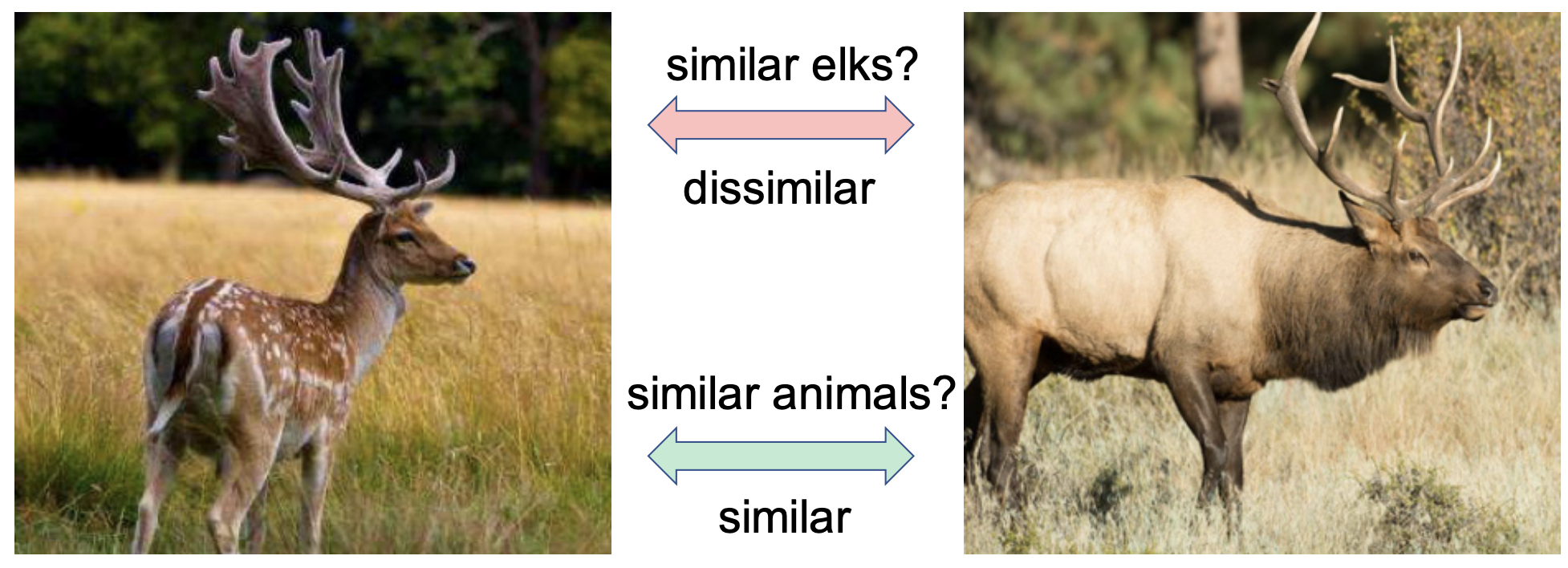 Dynamic Metric Learning: Towards a Scalable Metric Space to Accommodate Multiple Semantic Scales ...